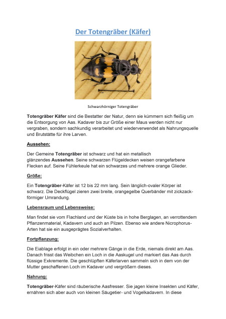 NUT-Referate im Homeschooling – Grundschule und Mittelschule Untergriesbach